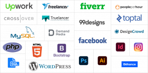 Welcome to DigiBizz – Empowering Your Future