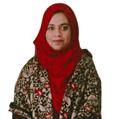 Welcome to DigiBizz – Empowering Your Future